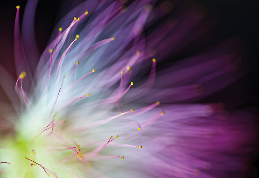 Photospecial@PGM 100XNEU – PGM Art worlD