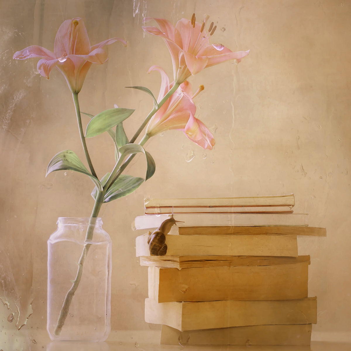 Slowly but Surely Delphine Devos | Wandbilder von PGM Art worlD