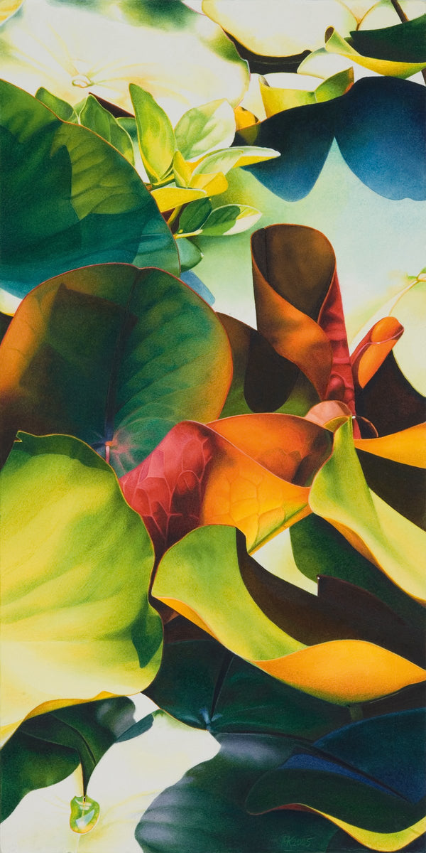 Nymphea 4 Angelika Koch | Wandbilder von PGM Art worlD