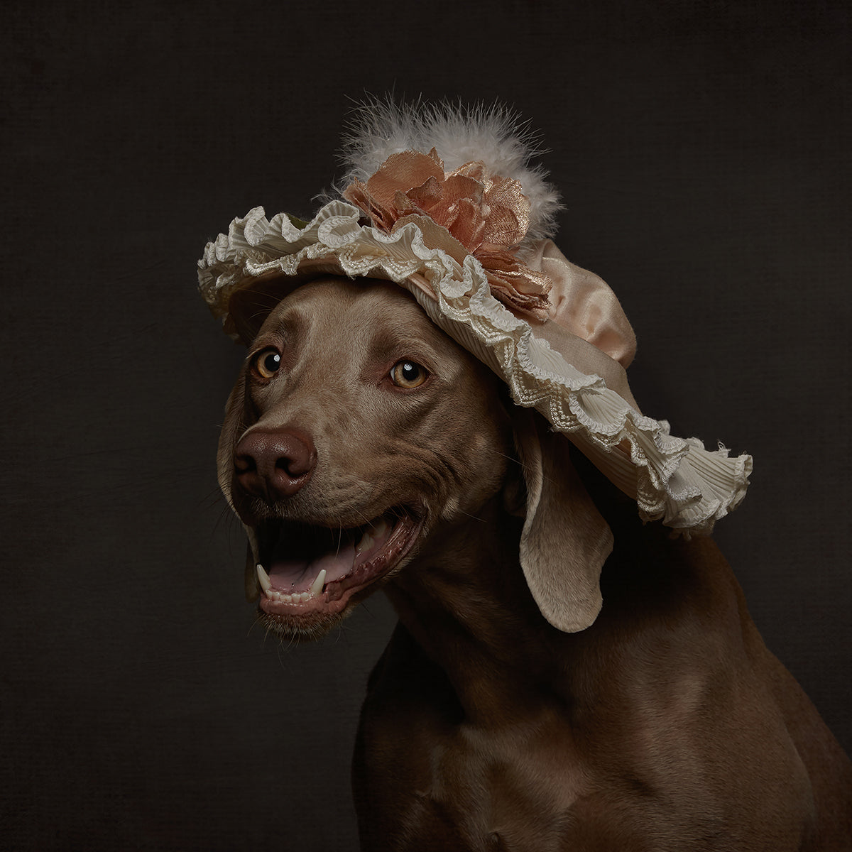 Roos Carine Belzon | Wandbilder von PGM Art worlD