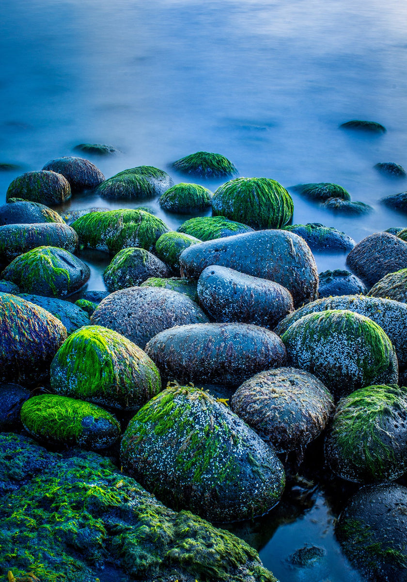 Green beach Kristvin Gudmundsson | Wandbilder von PGM Art worlD