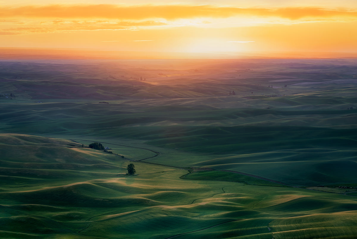 Sunset Over Colfax Hanping Xiao | Wandbilder von PGM Art worlD