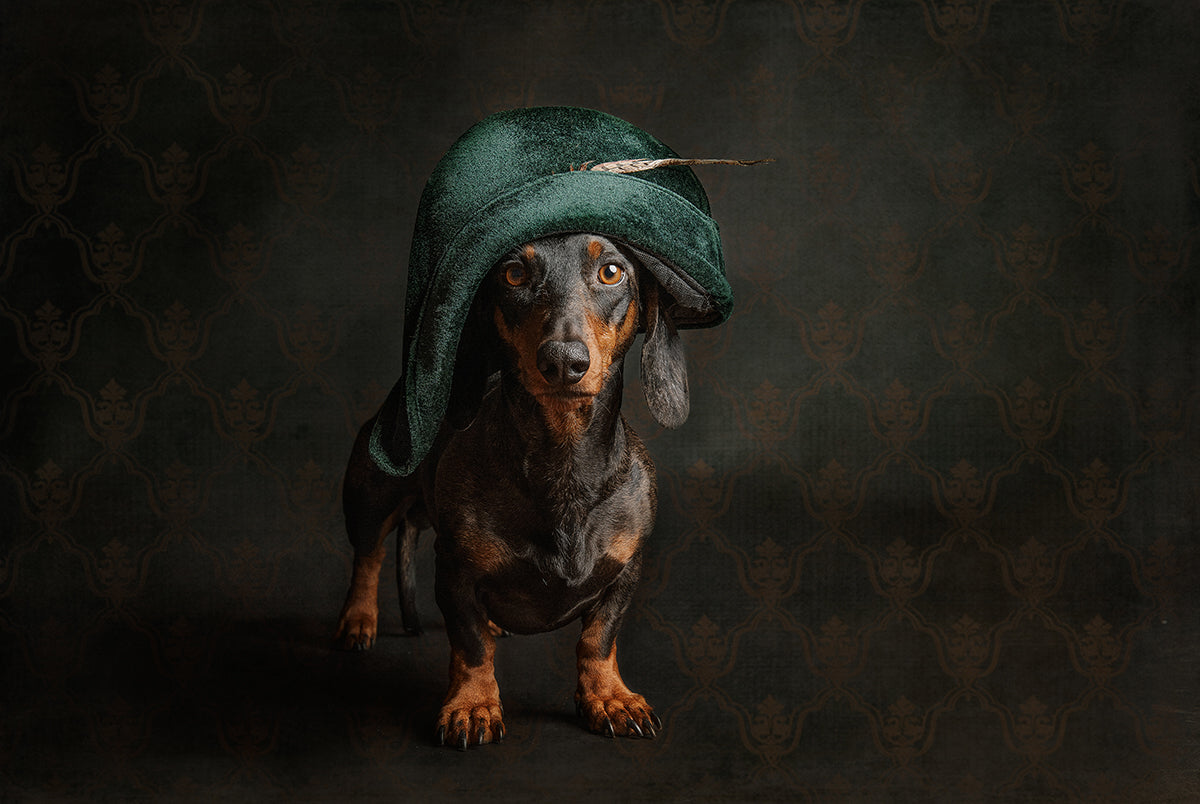 Napoleon? Heike Willers | Wandbilder von PGM Art worlD