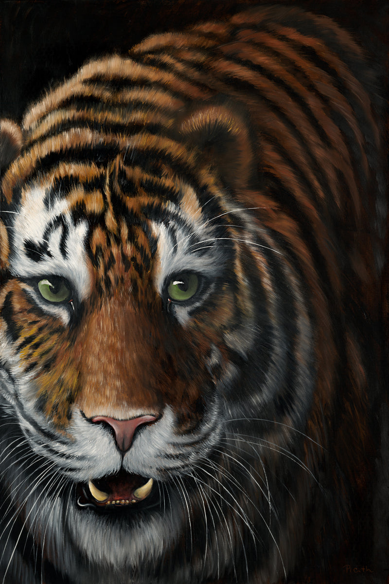 Tiger – PGM Art worlD