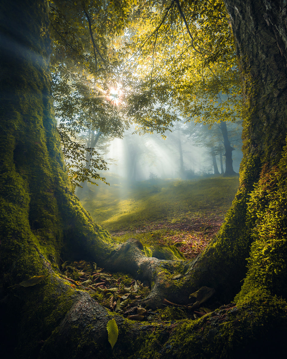 Two brothers Armin Ramezanzad | Wandbilder von PGM Art worlD