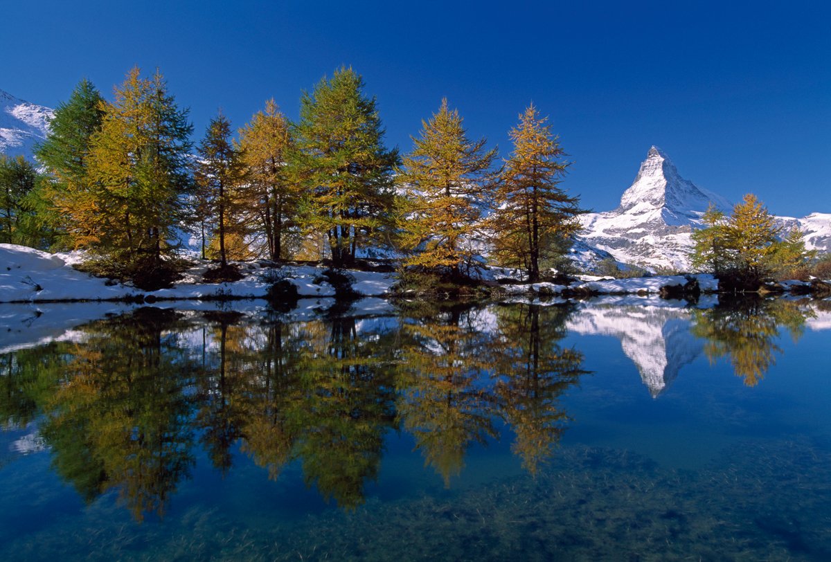 Matterhorn with larches I Thomas Marent | Wandbilder von PGM Art worlD