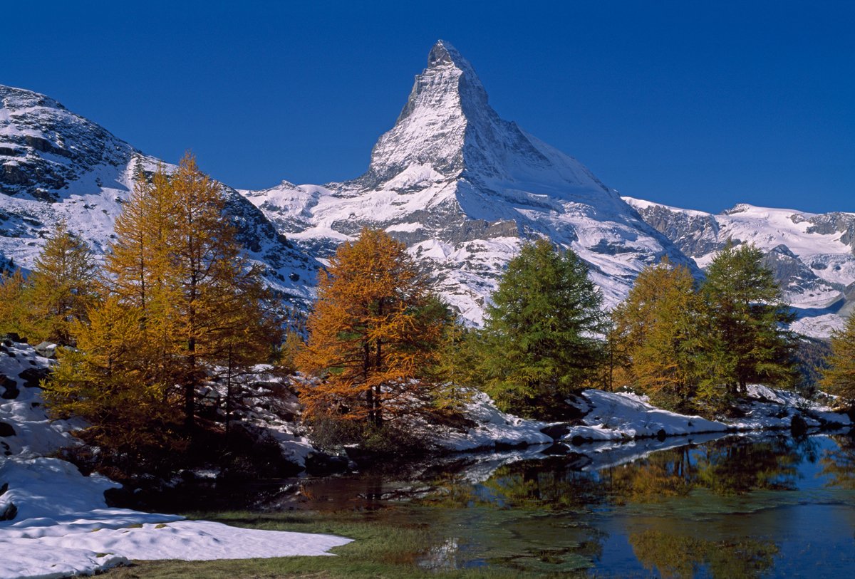 Matterhorn with larches II Thomas Marent | Wandbilder von PGM Art worlD